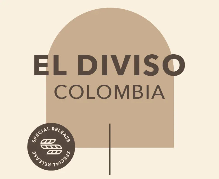 LIMITED RELEASE - COLOMBIA EL DIVISO (NATURAL) – Slide Coffee Roasters